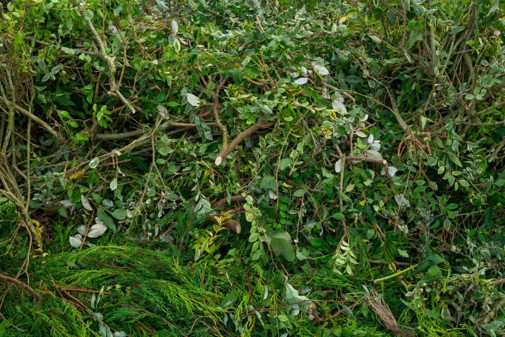 Groenafval container 20m3 | Tuinafval afvoeren | Afvalcontainerbestellen.nl